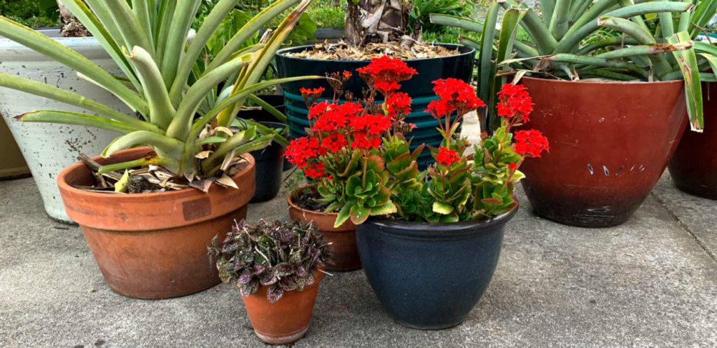 Pots - Different types